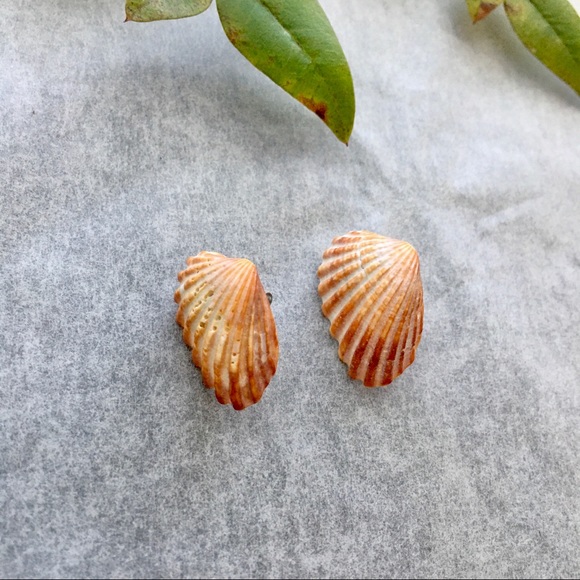 RLoveH | Jewelry | Lp Broad Ribbed Cardita Shell Pendant Stud Earrings ...